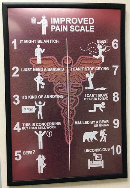 Pain Scale Funny Pet Memes